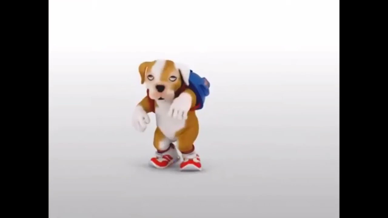 Chacarron dog - YouTube