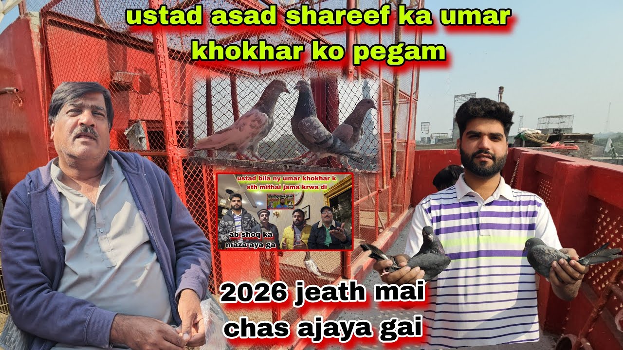 Ustad asad shareef ka pegam 2026 ka jeath is chaht sy shoq huga umar ...