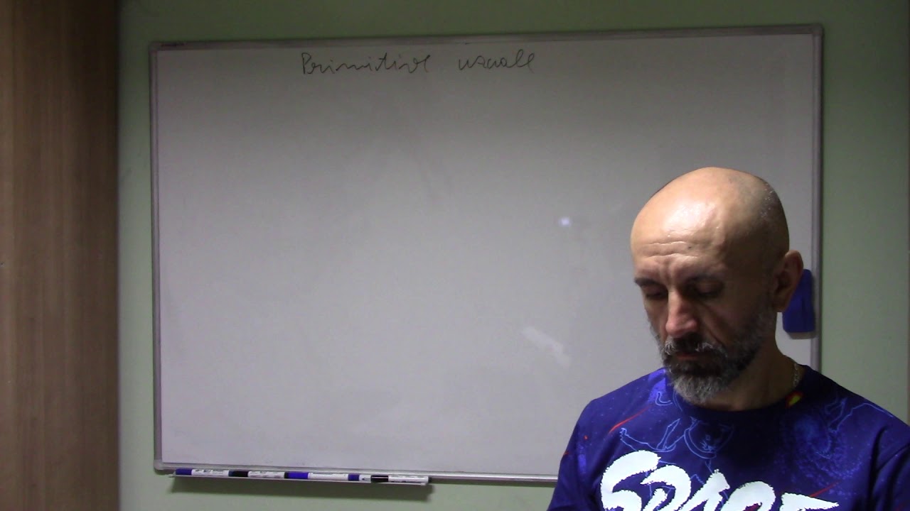 Integrala nedefinita,liniaritate,primitive uzuale clasa a 12-a 1 - YouTube