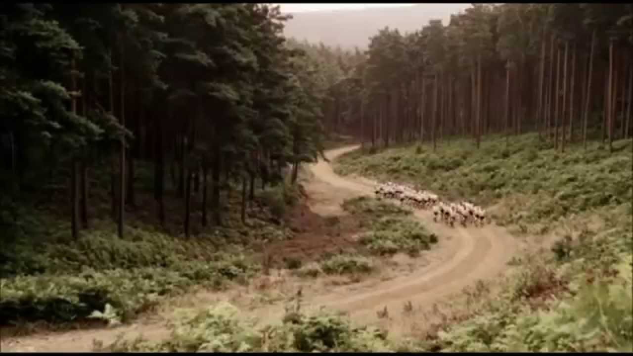 Al Currahee - YouTube