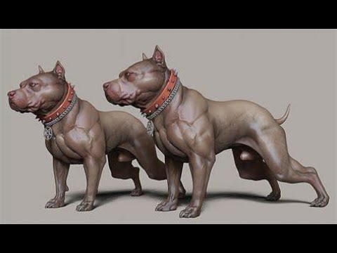 most dangerous dogs that can kill you fast - YouTube