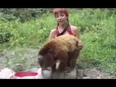 death metal monkey