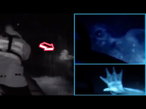 2 real footage of Merman / Mermaid