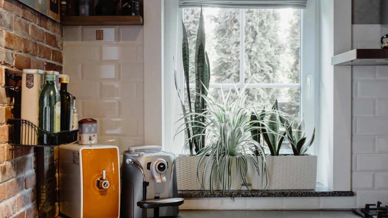 @Saba Sheikh is live - YouTube