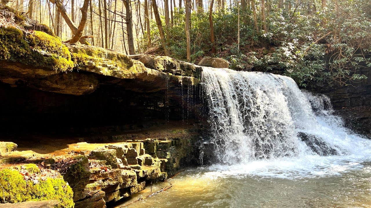 Laurel Run Falls Early Spring Hike - YouTube