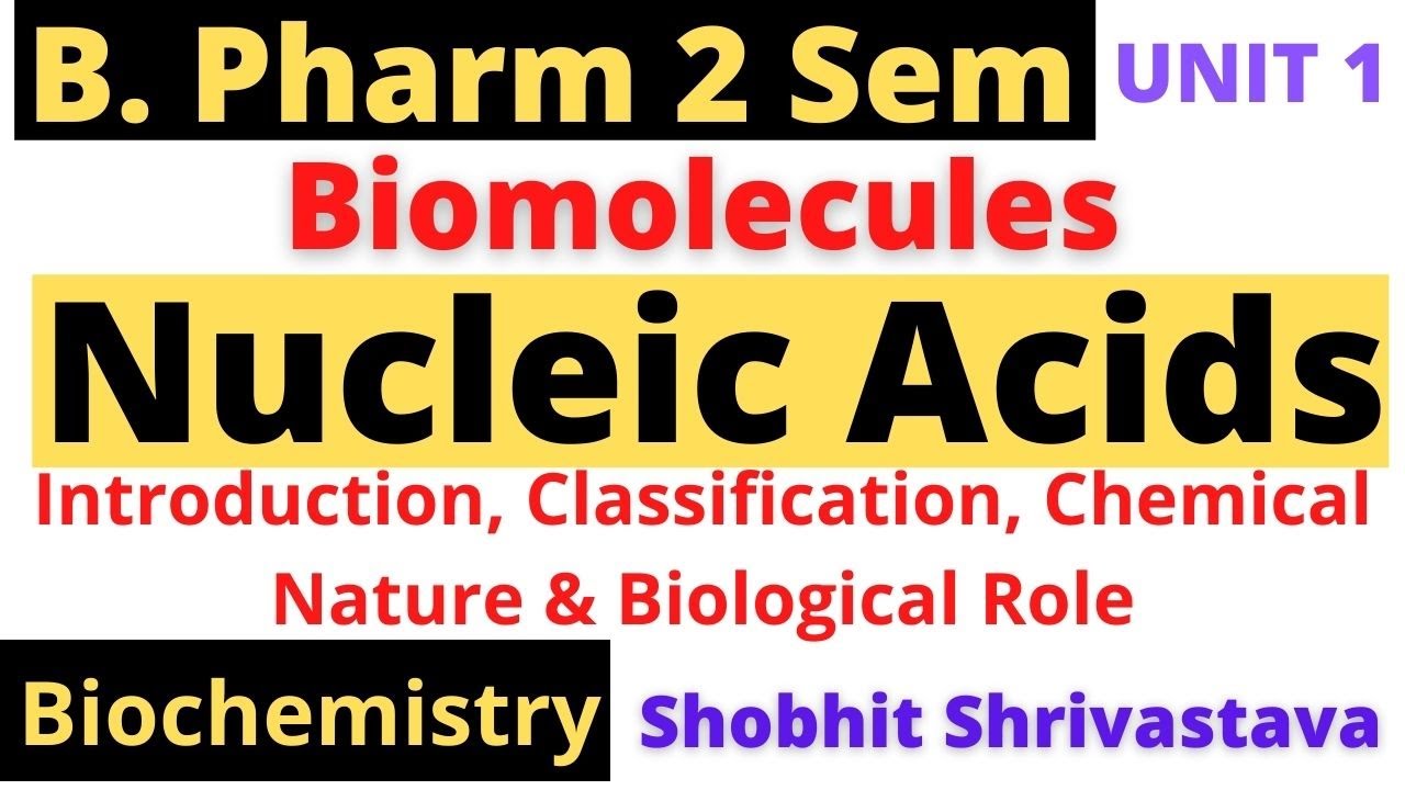 Nucleic Acids-Introduction-Classification-Chemistry-Biological Role ...