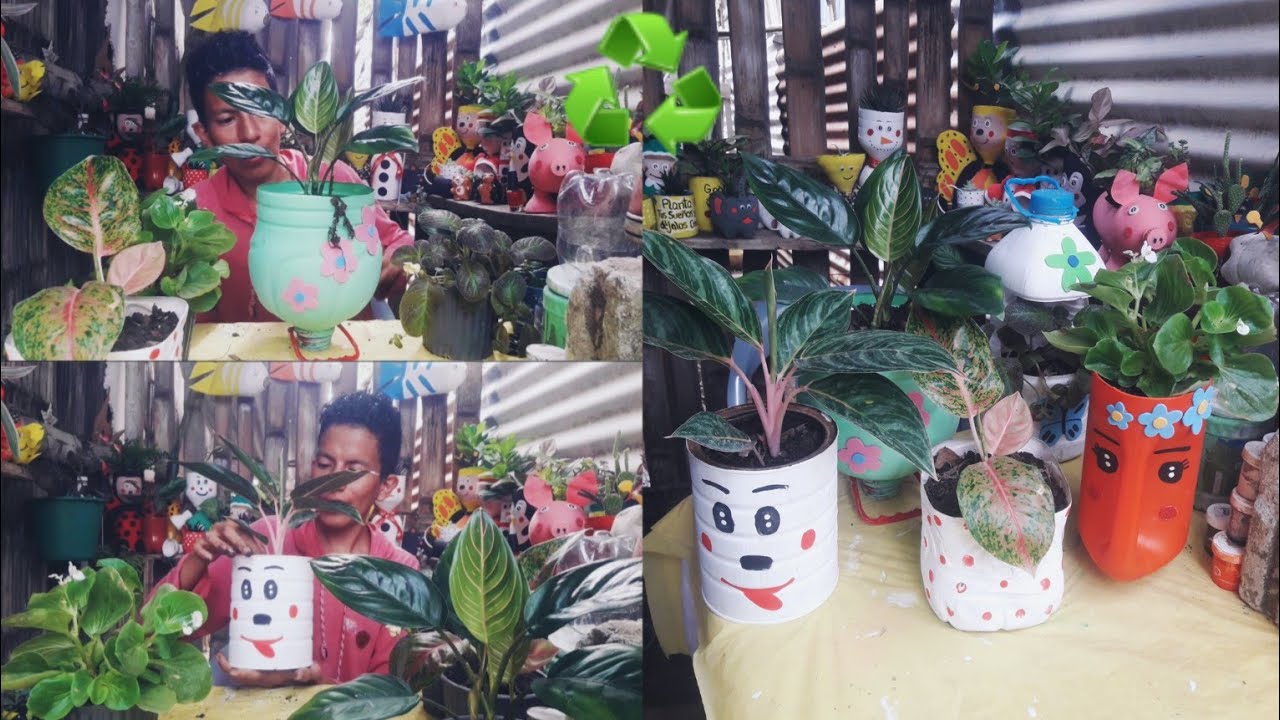 Trasplantando plantas en lindas macetas recicladas😊🌱 - YouTube