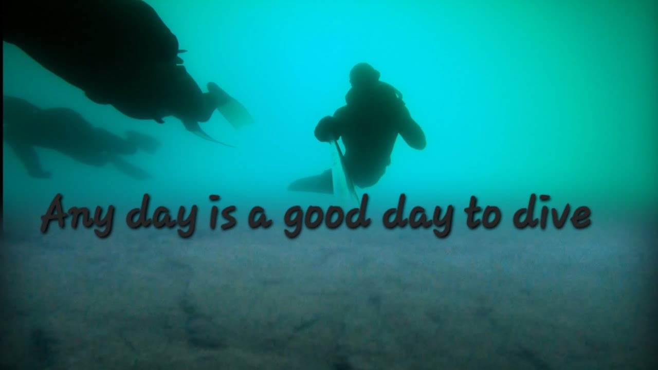 Diving on a rough day - YouTube