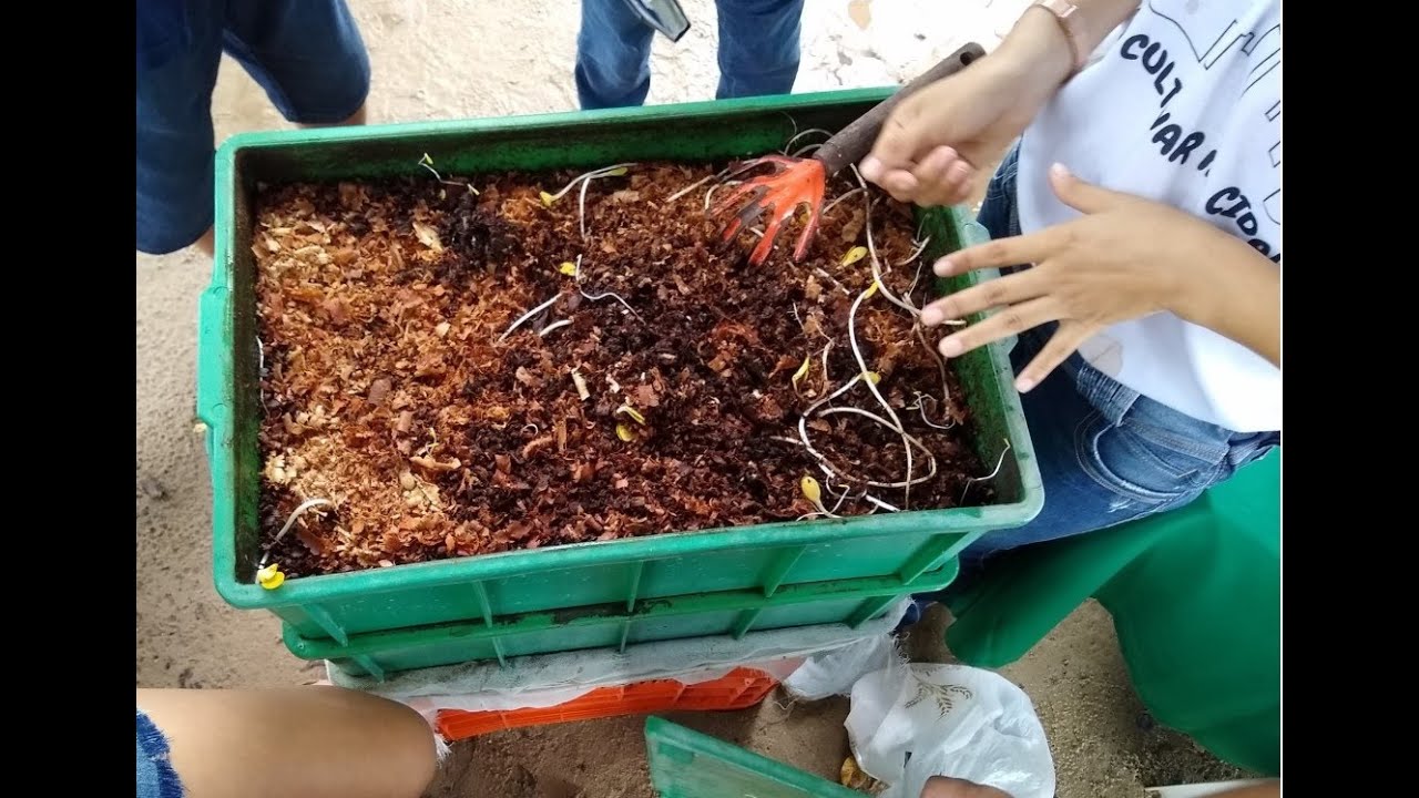 MOSTRANDO NA PRÁTICA O PROCESSO DE COMPOSTAGEM - YouTube