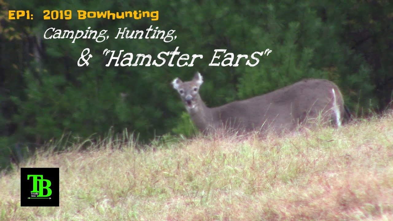 EP1: 2019 Bowhunting "Camping, Hunting, & Hamster Ears" - YouTube