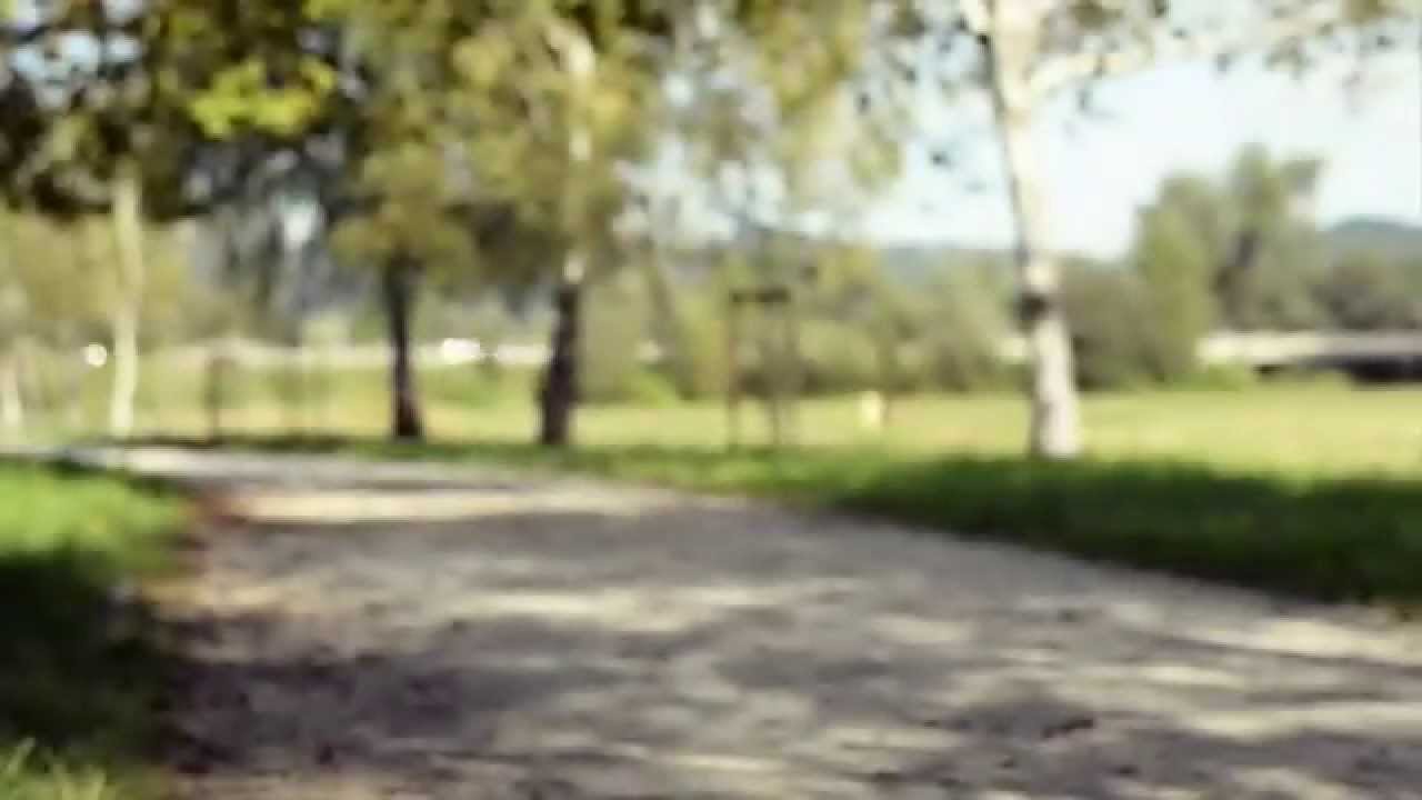 Janja Koren - YouTube