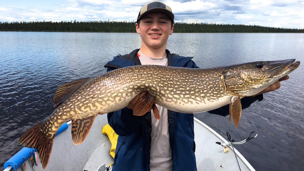 Two Great Pike Back To Back In Northern Saskatchewan! - YouTube