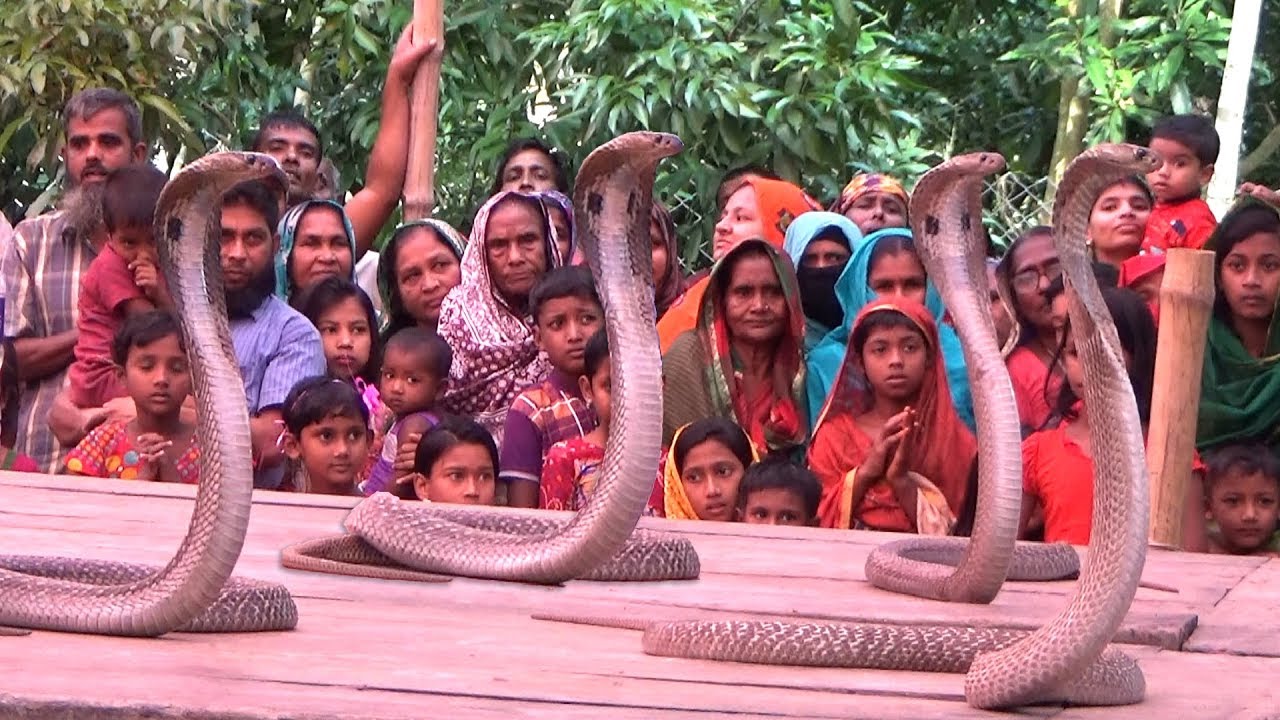 Traditional Snake Dance Festival | Nag Nagin Dance | Jhapan Khela - YouTube