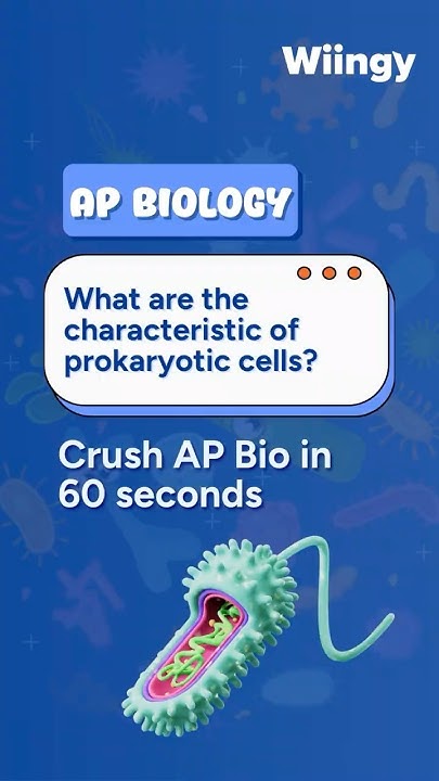 Understanding Prokaryotic Cells: AP Bio Insights! 🎯 - YouTube