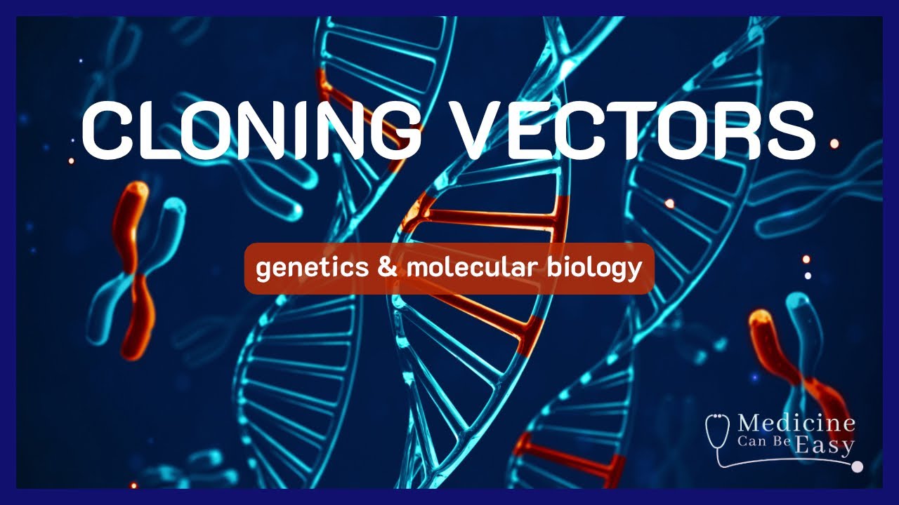 Cloning Vectors (+ NOTES) - YouTube