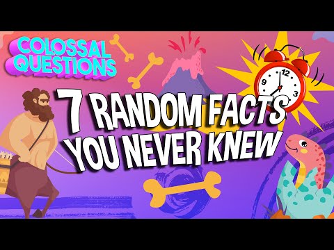 7 Facts You THOUGHT You Knew | COLOSSAL QUESTIONS | Safe Videos for Kids