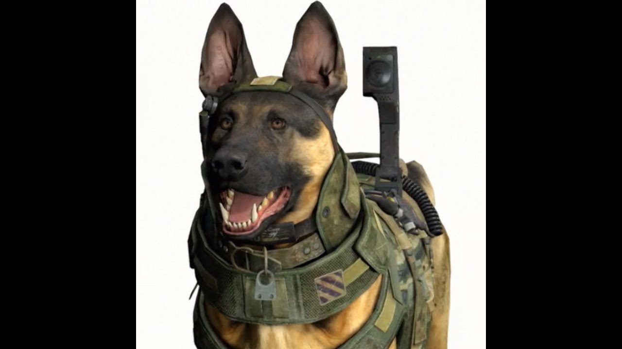 I found dogs in Dying Light 2 files - YouTube