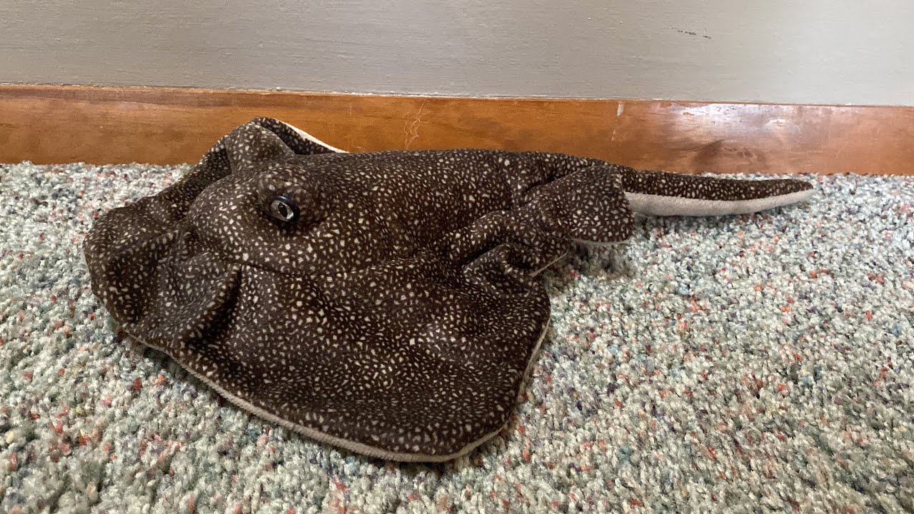 SOS Stingray Plush Unboxing - YouTube