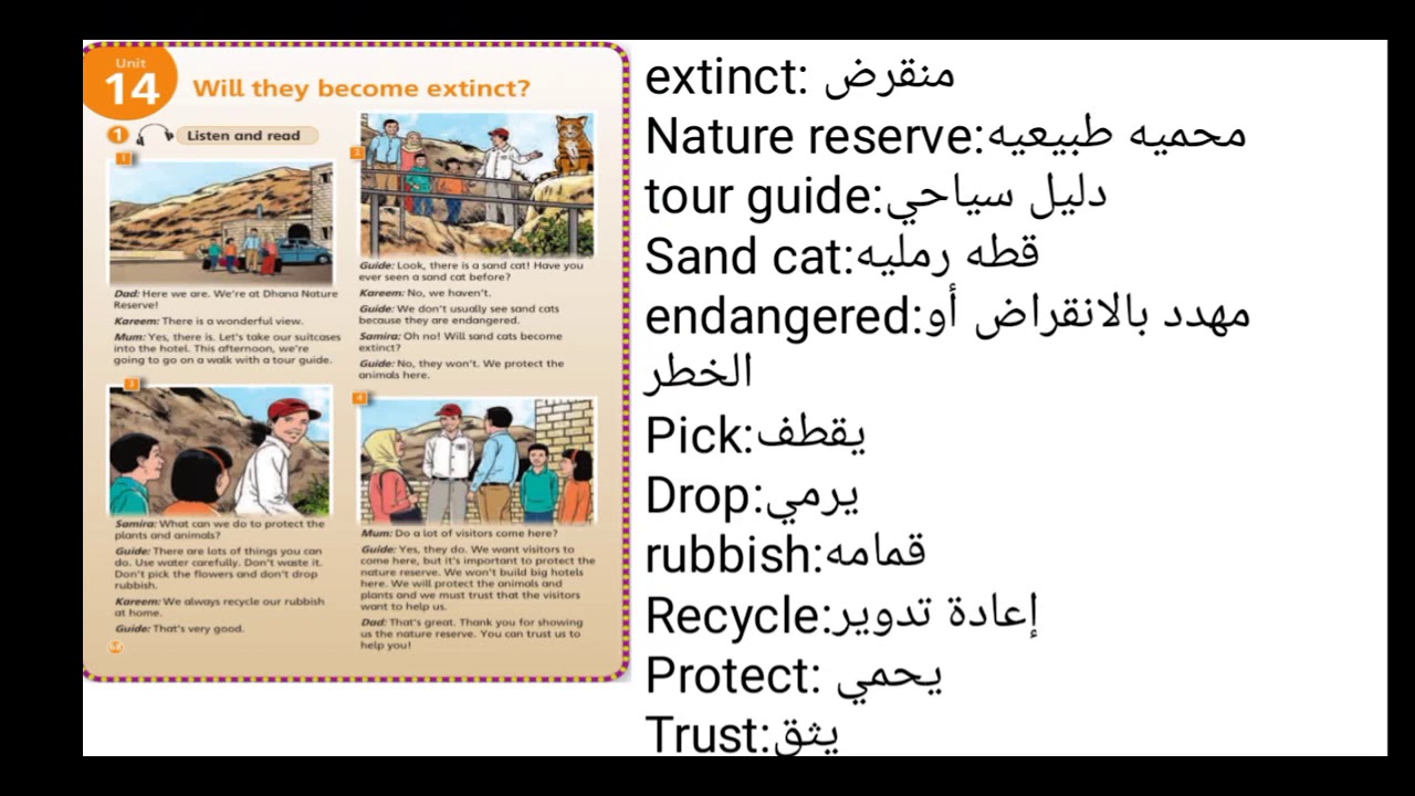 Action pack...6th grade ....unit 14 .....will they become extinct ...