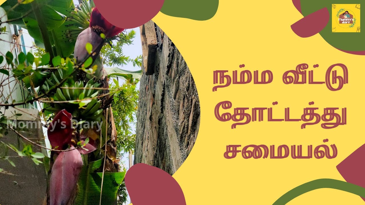 Grow Banana Plant In Tamil 1 Vazhai Poo Kootu Recipe Vazhai Poo Vadai Recipe In Tamil