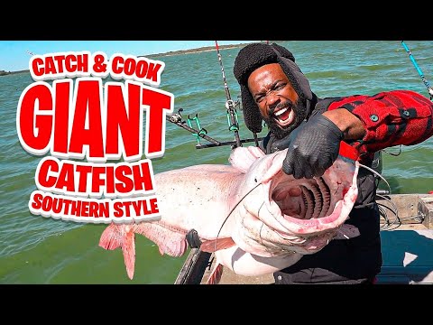 EXTREME Catch & Cook GIANT Catfish Southern Style!