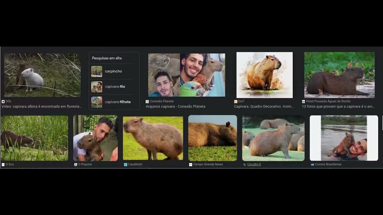 capivara é um deus - YouTube