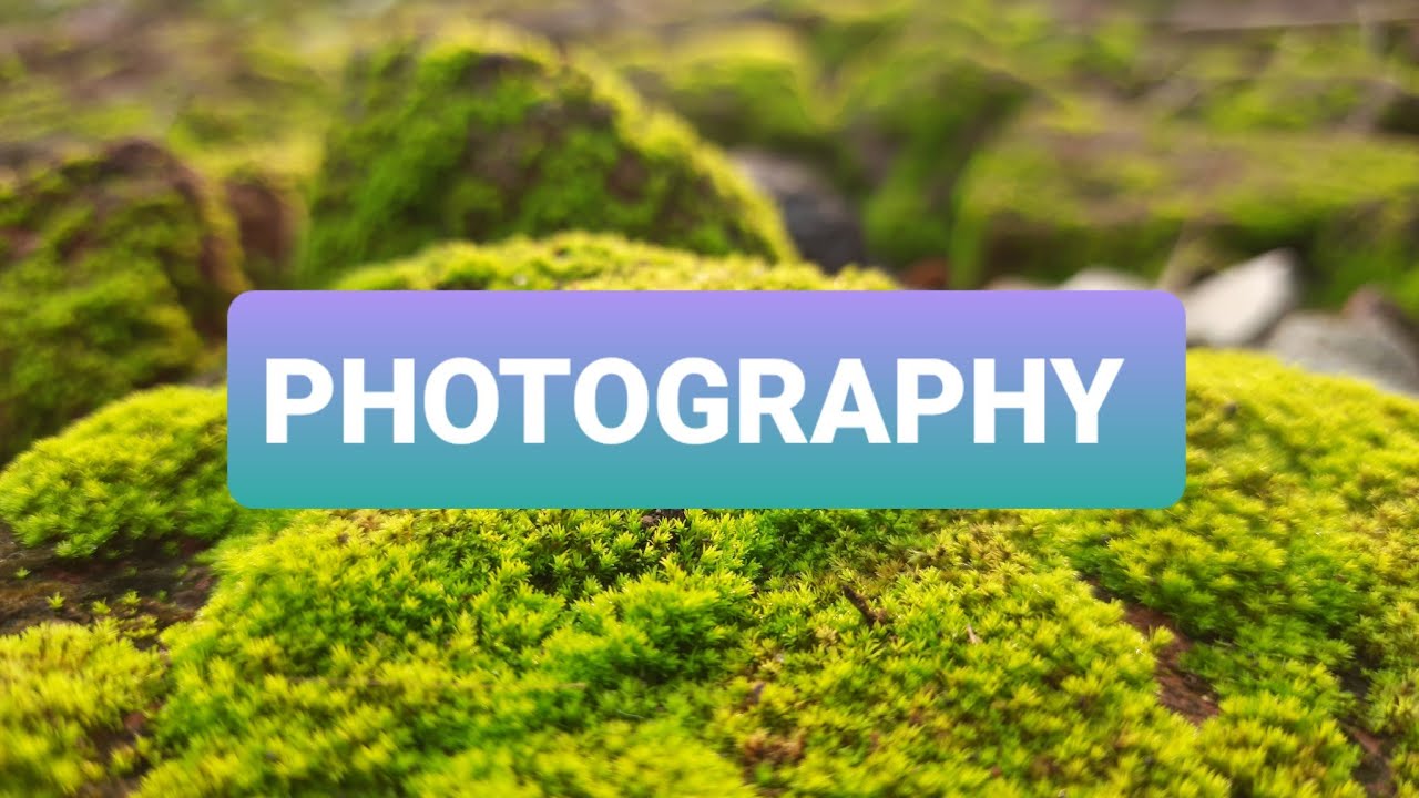 PHOTOGRAPHY //concert and directed by SURENDRA.J - YouTube