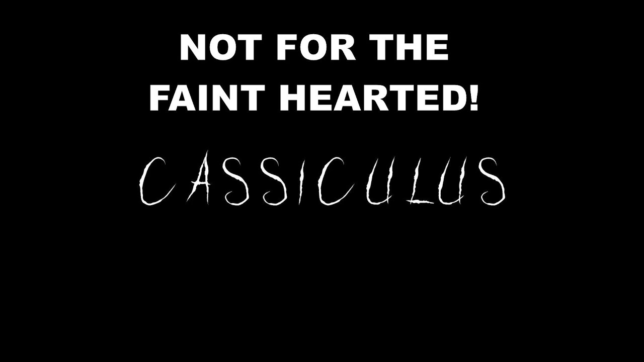 Full playthrough of arachnophobia horror CASSICULUS! (with m'daughter ...