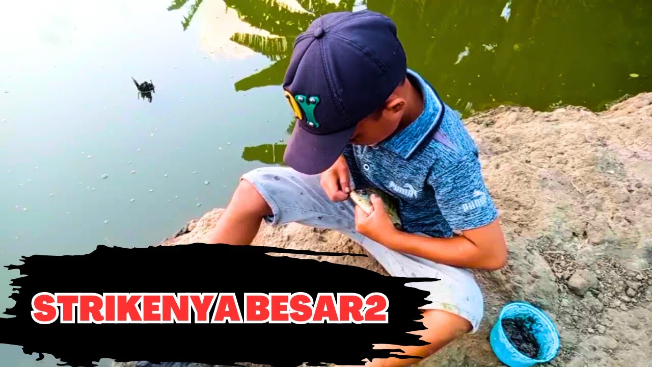 best fishing video | Little Boy catching fish With Fishing Road in ...