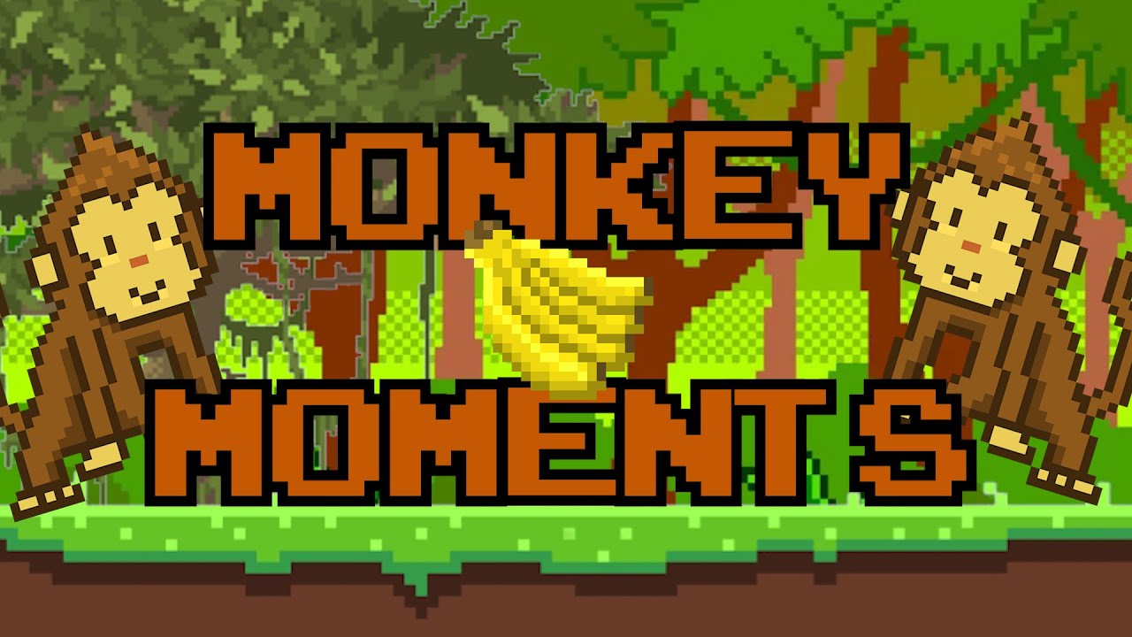 MONKEY MOMENTS 1# - YouTube