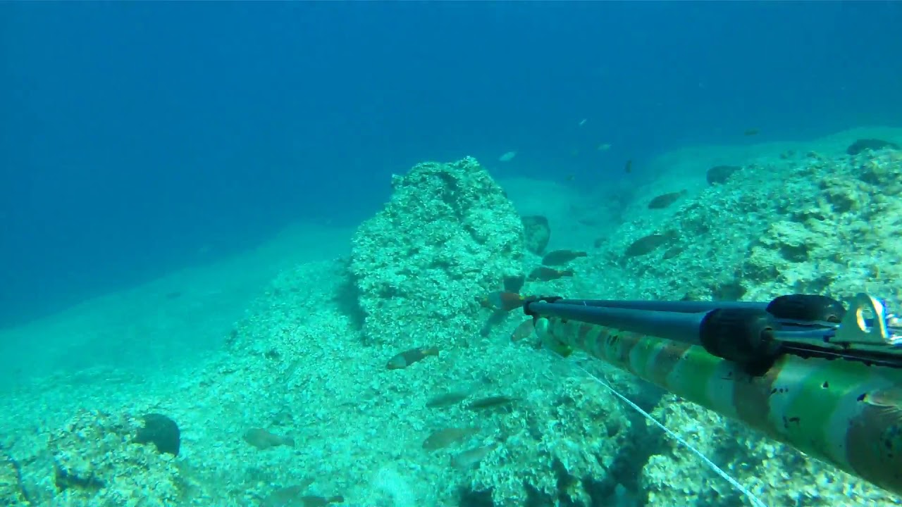 ψαροντουφεκο 15 8 2019 καλυτερες βολες spearfishing - YouTube