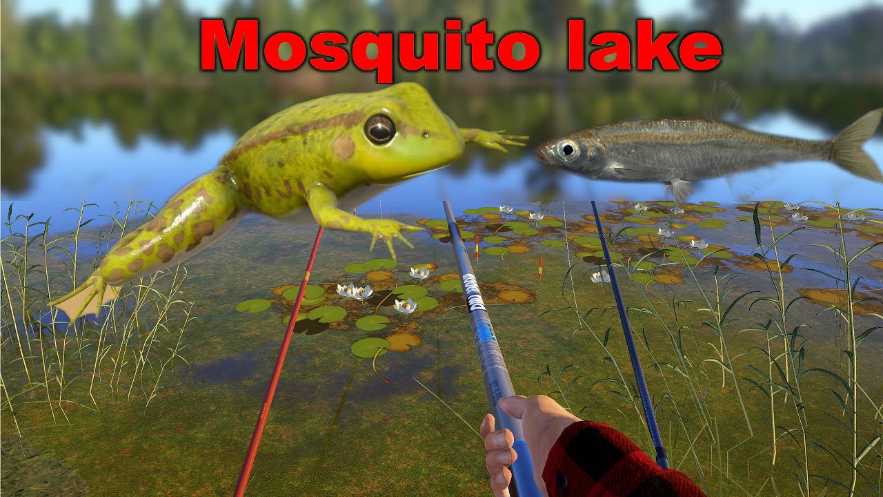 Russian Fishing 4 Mosquito lake Bleak Frog - rf4 spot #51 - YouTube