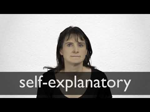 How to pronounce SELF-EXPLANATORY in British English