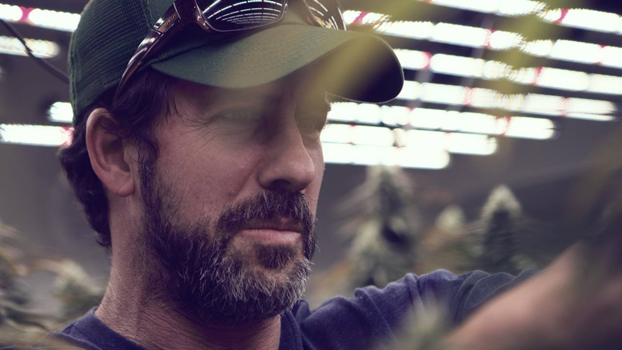 Fluence Innovator | LED Grow Lights Illuminate Mother Magnolia ...