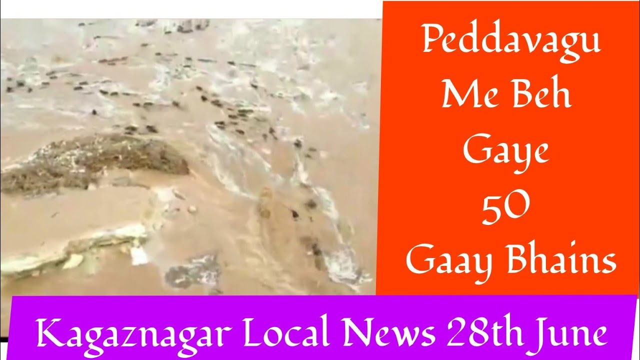 Kagaznagar Local News 28.6.2024 Local tv kagaznagar - YouTube