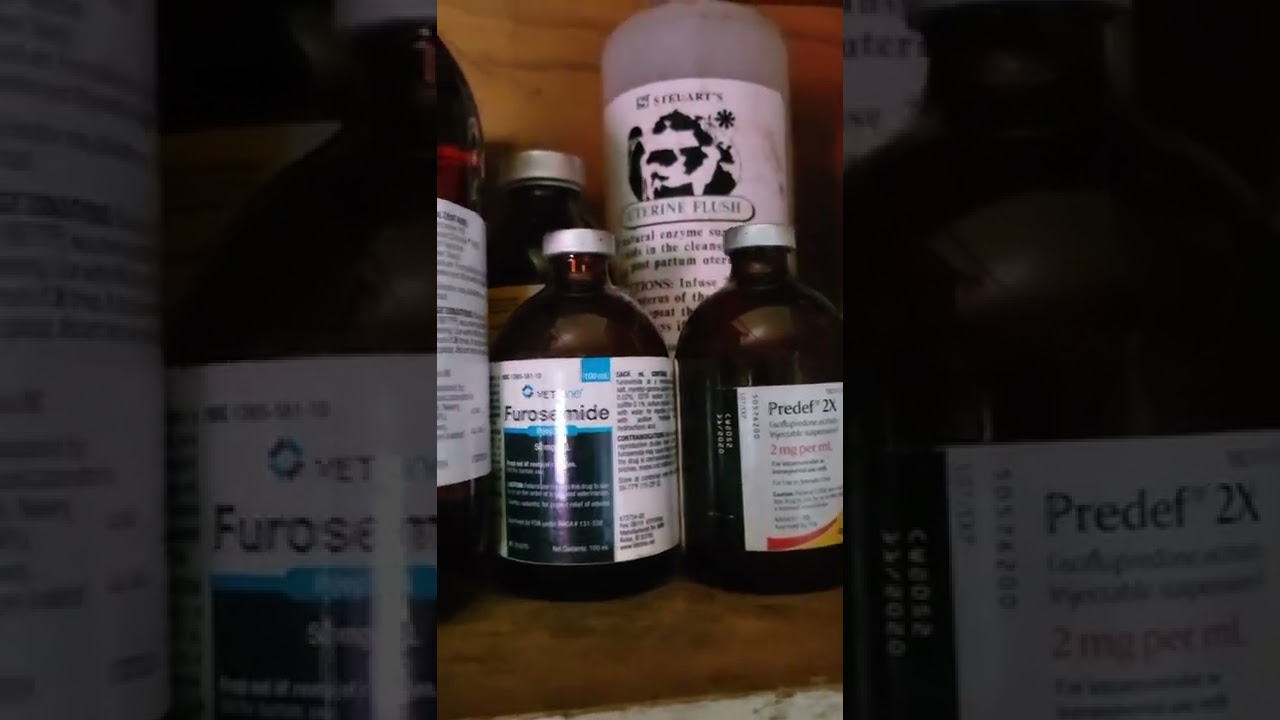 Antibiotics and steroids I keep on hand for lactating dairy cattle ...