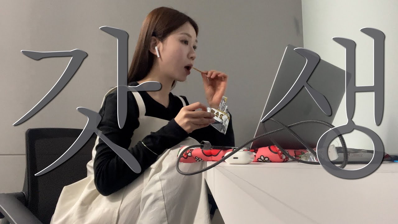 Vlog 을지로 재무팀 직장인 브이로그 왜요 제가 업무 시간에 편집하는 사람으로 보이세요 직장인은 하루에 얼마
