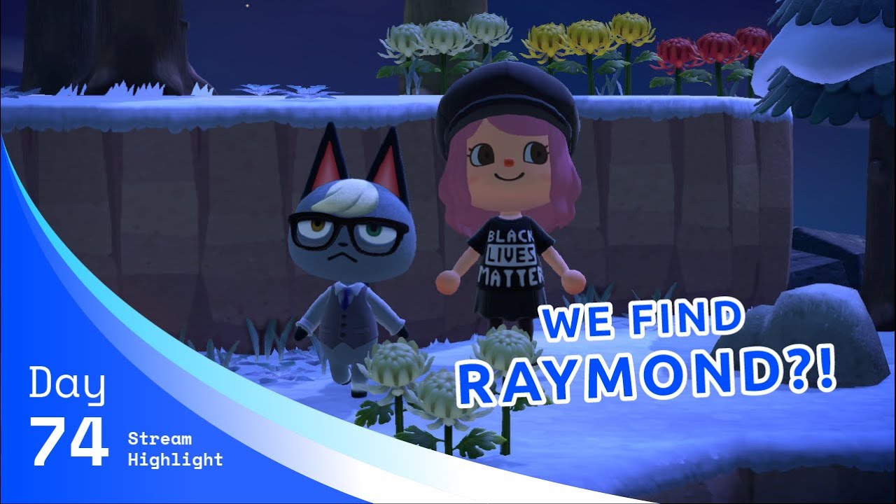 We find Raymond?! Villager Hunting for Rare Villagers in Animal ...