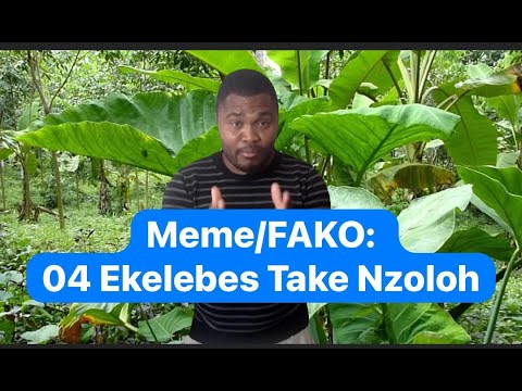 Meme-Fako: Atleast 04 Ekelebes Take Nzoloh. - YouTube