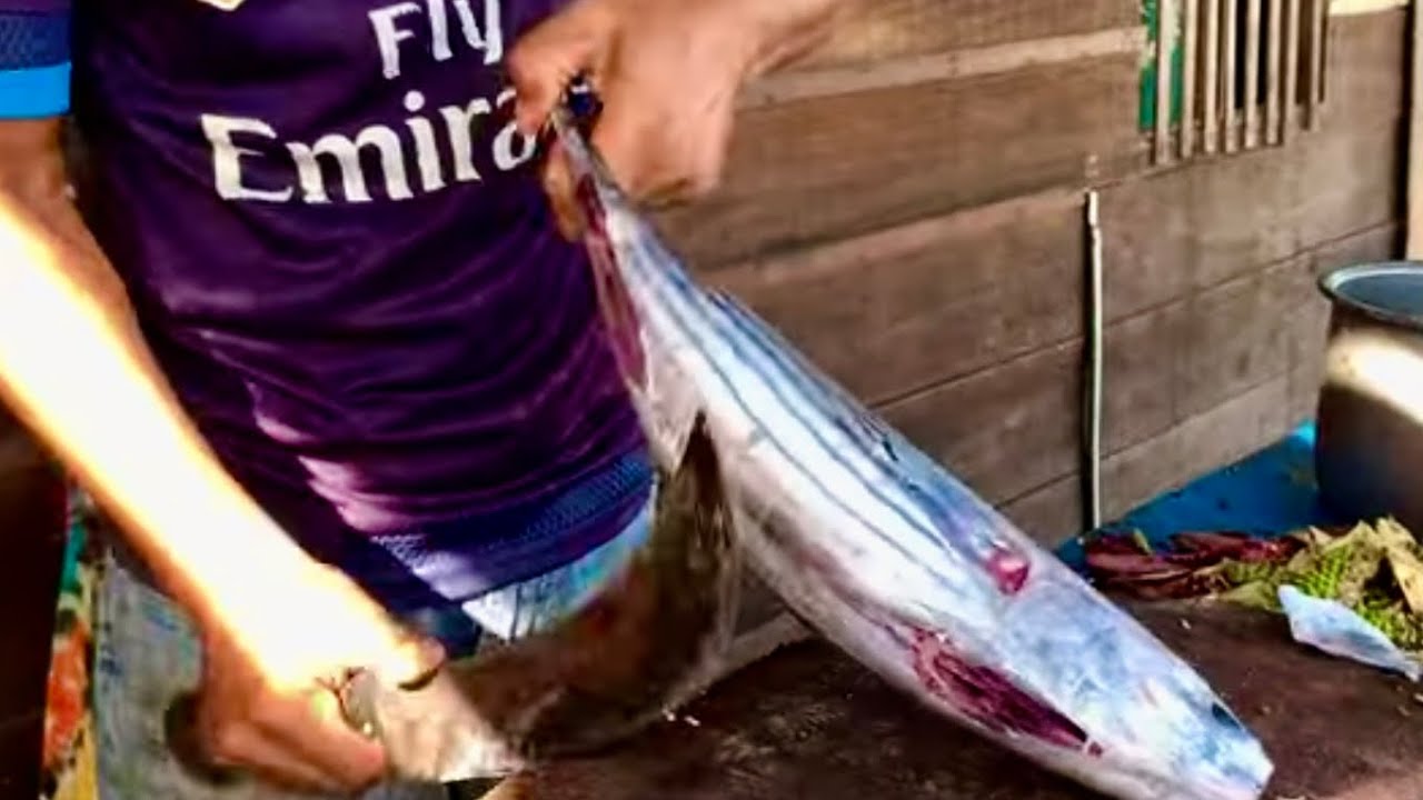 Amazing Skills of Tuna Fish Cutter | Fastest Tuna Cutter - YouTube