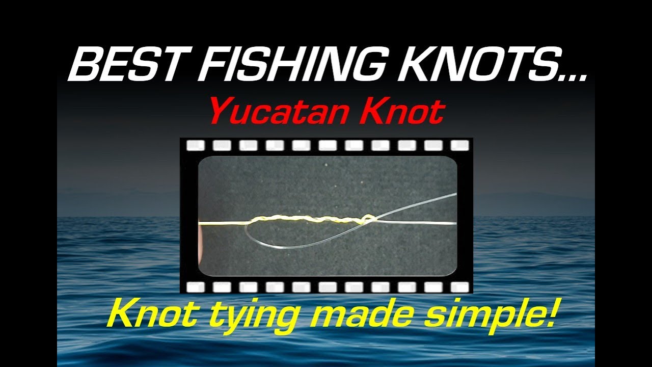 Best Fishing Knots - How to tie the Yucatan Knot - YouTube