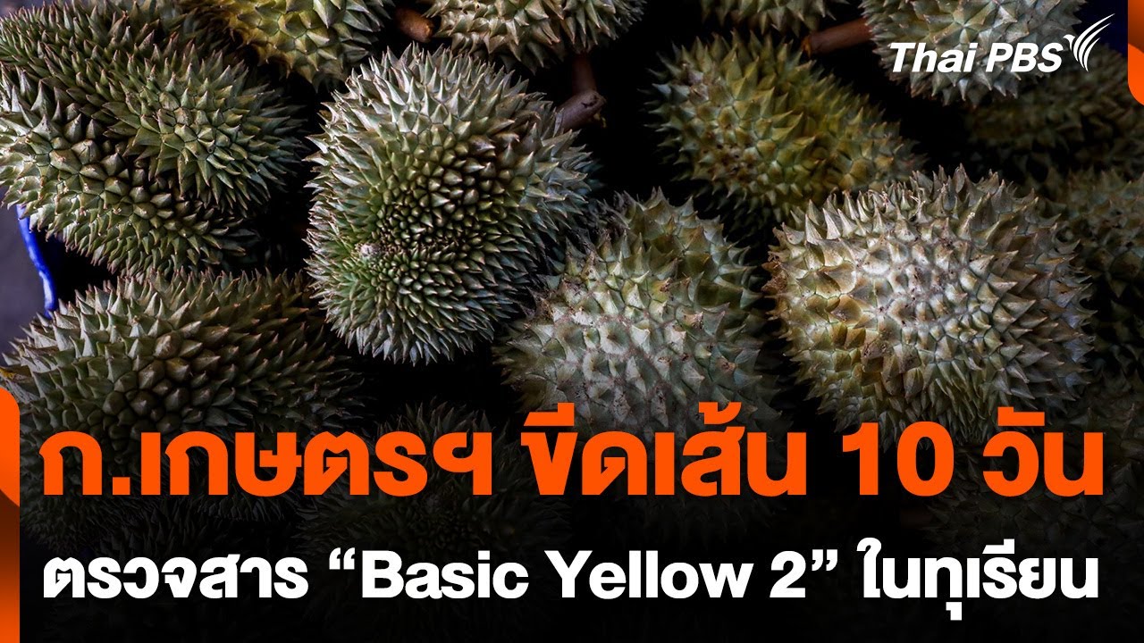 ก.เกษตรฯ ขีดเส้น 10 วัน ตรวจสาร "Basic Yellow 2" ในทุเรียน | วันใหม่ ไทยพีบีเอส | 14 ม.ค. 68 ...