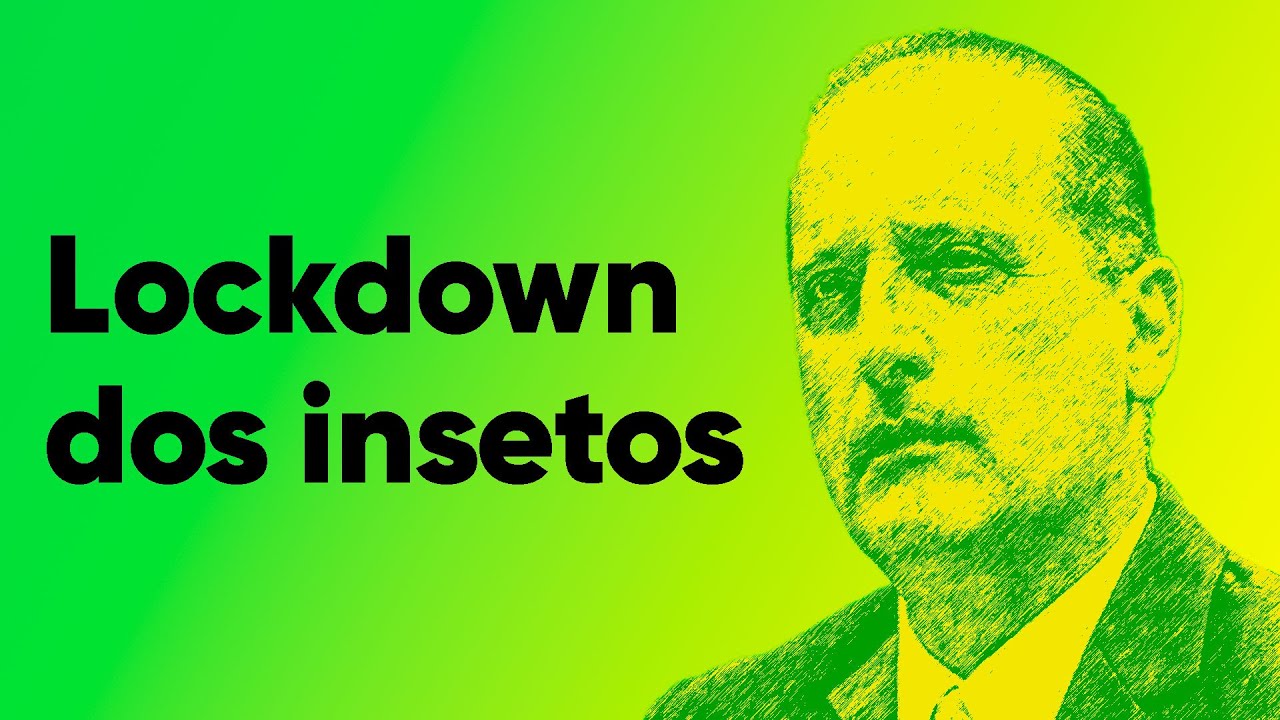 lockdown dos insetos - YouTube
