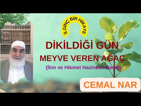 DİKİLDİĞİ GÜN MEYVE VEREN AĞAÇ (İlim ve Hikmet Hazineler Bedel)
