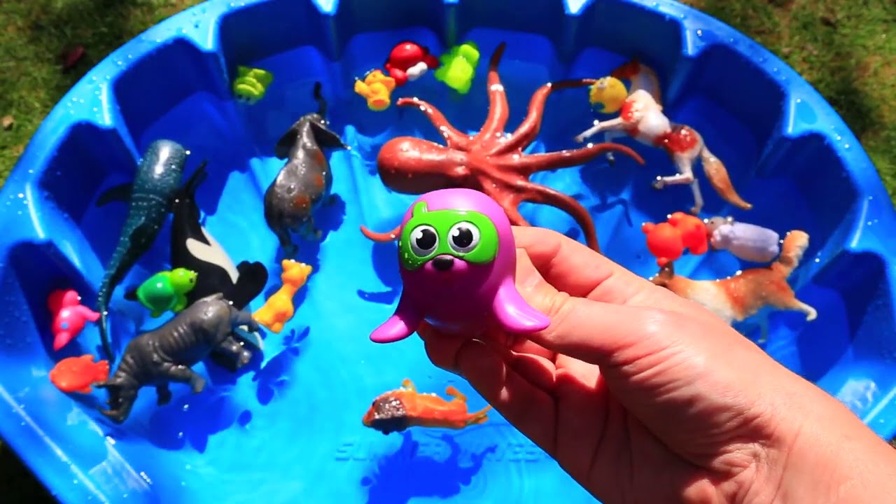 Leerzaam kinderfilmpje voor peuters en kleuters - Dieren leren in het ...