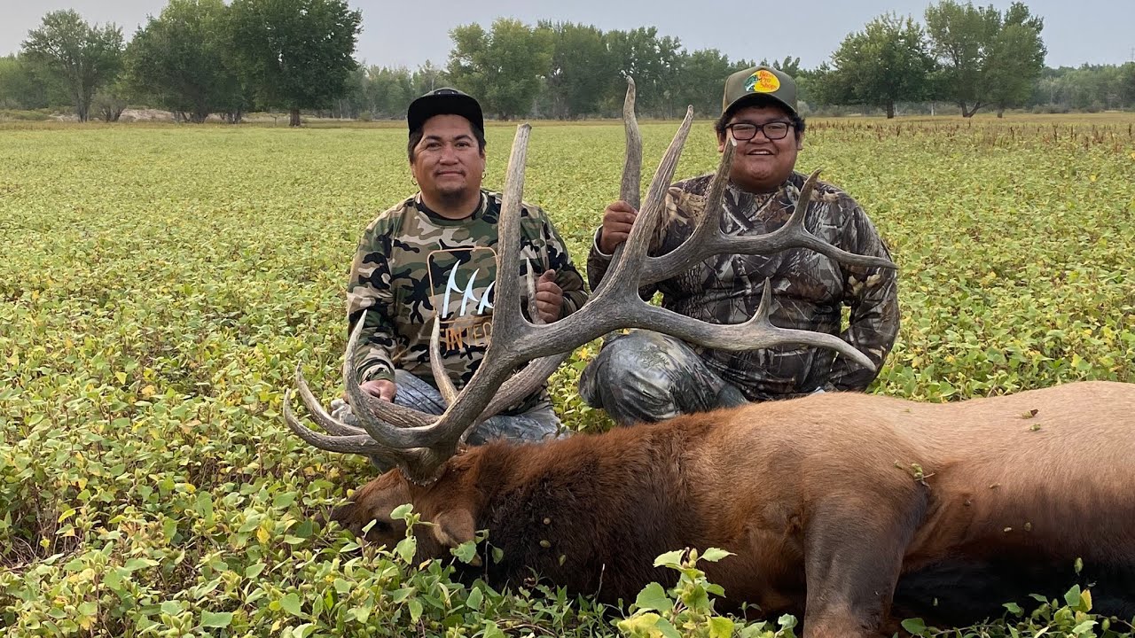 my lucky 7 point Elk hunt. 2024 - YouTube