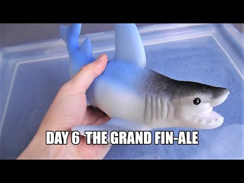 Ginormous Grow Shark (Day 6) GRAND FIN-ALE! Growing Shark From Toy ...