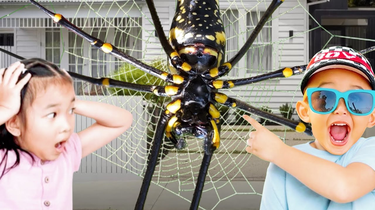 Hunting and Catching Spiders with My Kids in Aroun Us! Catching Giant ...