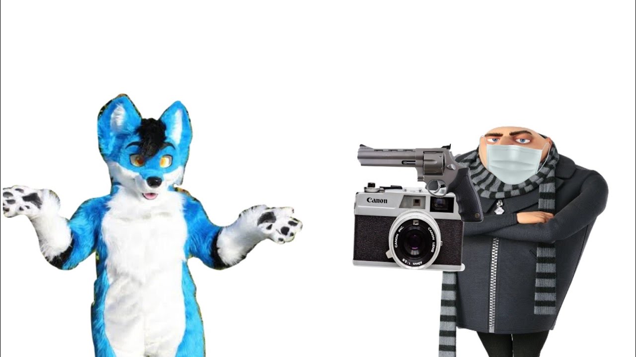 top 10 furros captados en cámara - YouTube