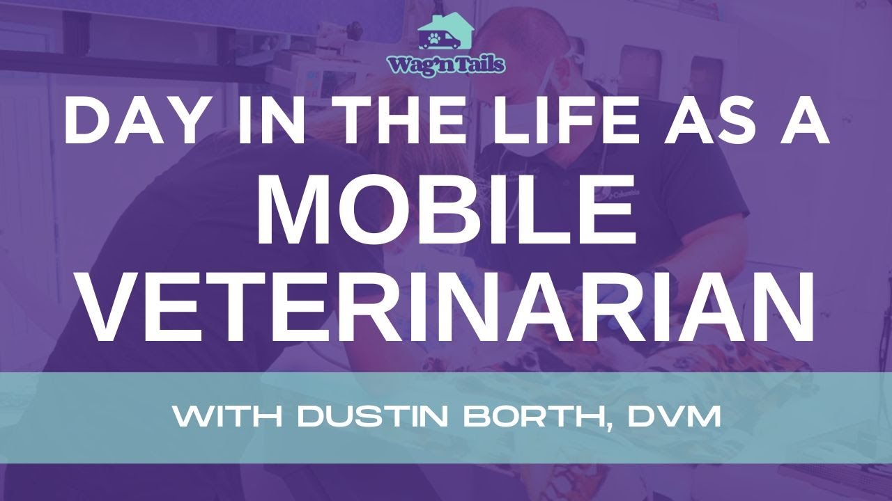 Day in the Life with Mobile Veterinarian, Dr. Dustin Borth - YouTube